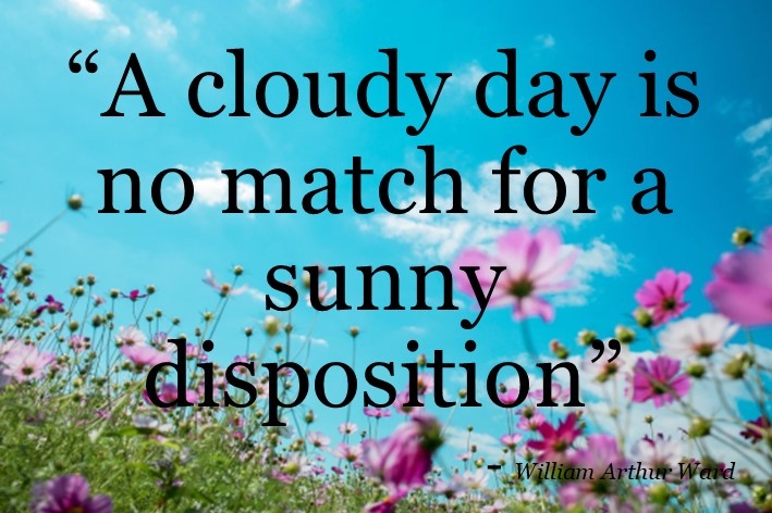 This week's 'Sunshine Quote' - Otterdene Products